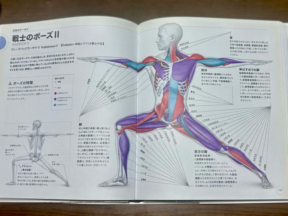 脚を引き締めたいと感じたら、迷わず「戦士のポーズ」 | 静岡の浜松市にあるピラティス&ヨガのプライベートサロンやすらぎ静岡の浜松市にある ...