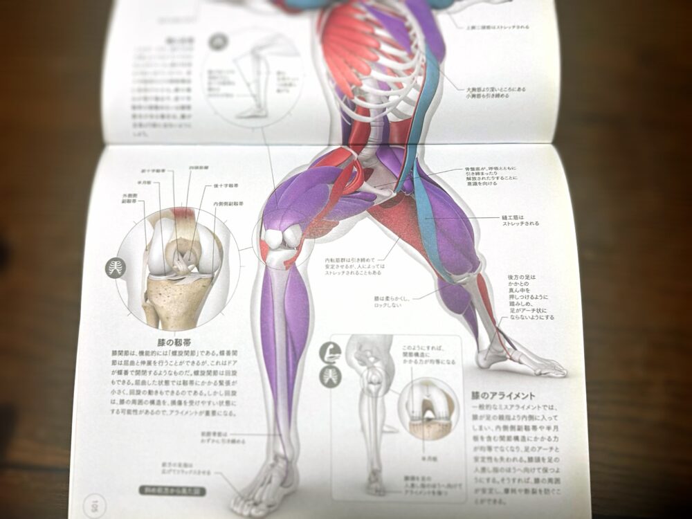 脚を引き締めたいと感じたら、迷わず「戦士のポーズ」 | 静岡の浜松市にあるピラティス&ヨガのプライベートサロンやすらぎ静岡の浜松市にある ...